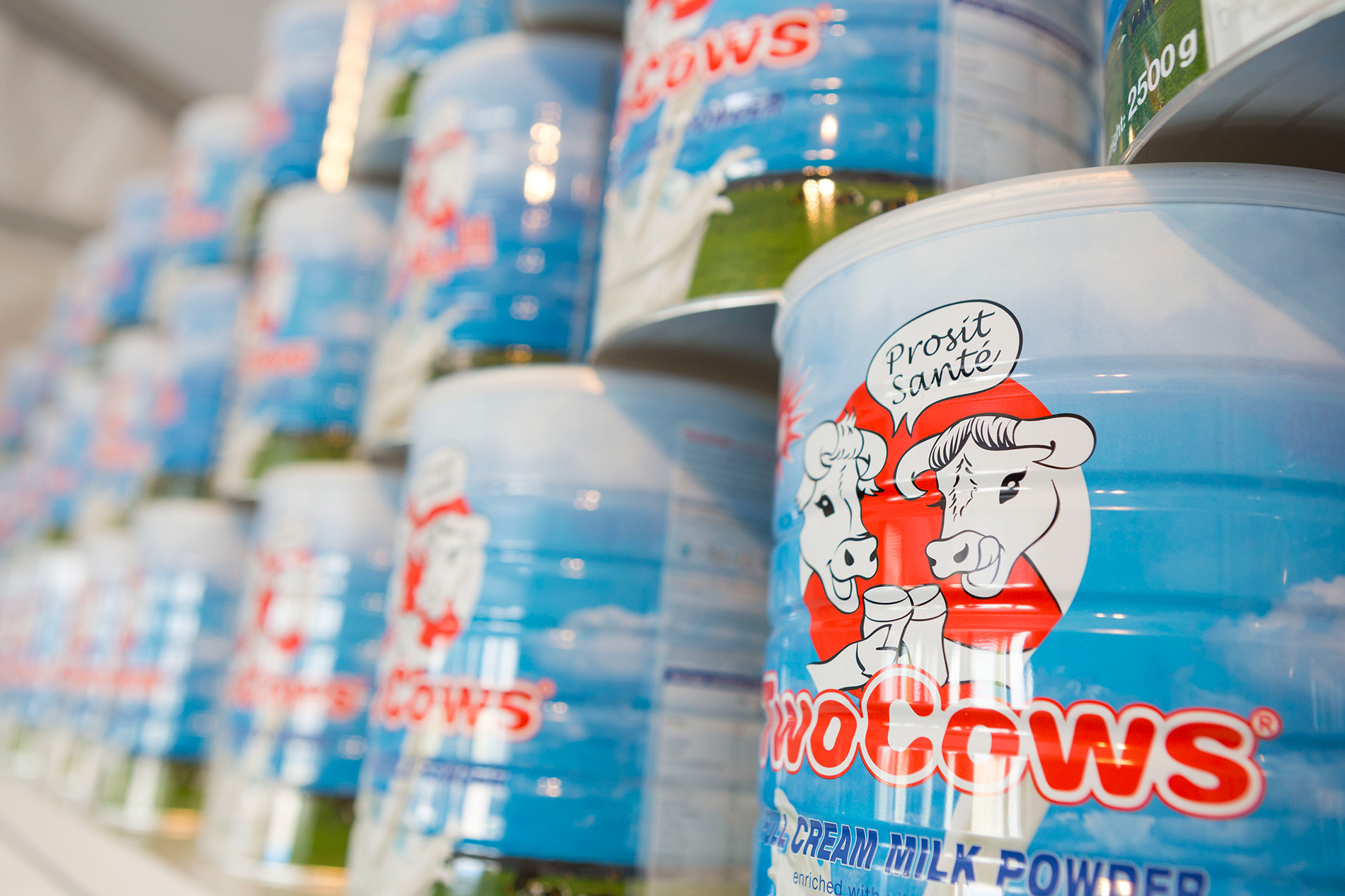 Two Cows | Vreugdenhil Dairy Foods