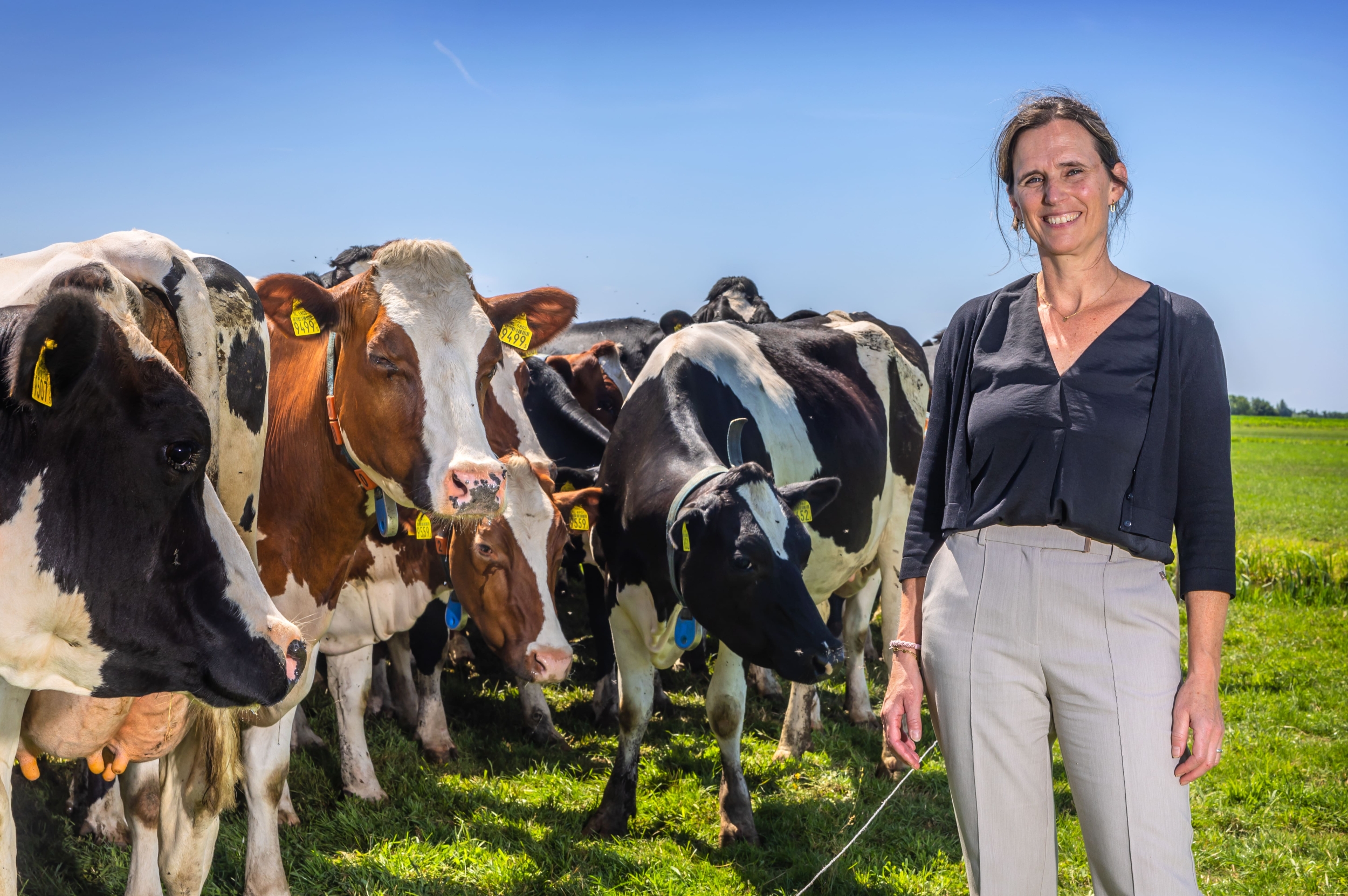 Support future-proof farming with Patty Penterman | Vreugdenhil Dairy Foods
